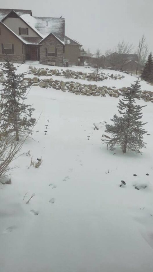 How much snow fell in Utah County this weekend? | News, Sports, Jobs ...